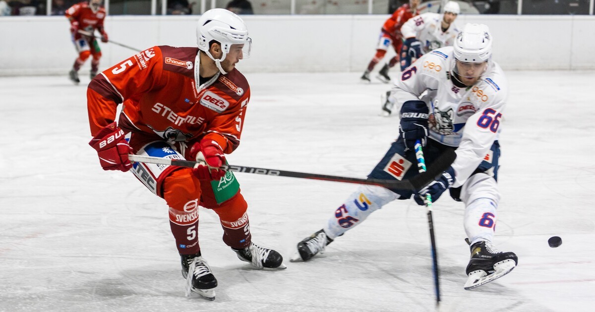 Eisbären verleihen Stürmer – Schanner bleibt offizieller Ausrüster ...